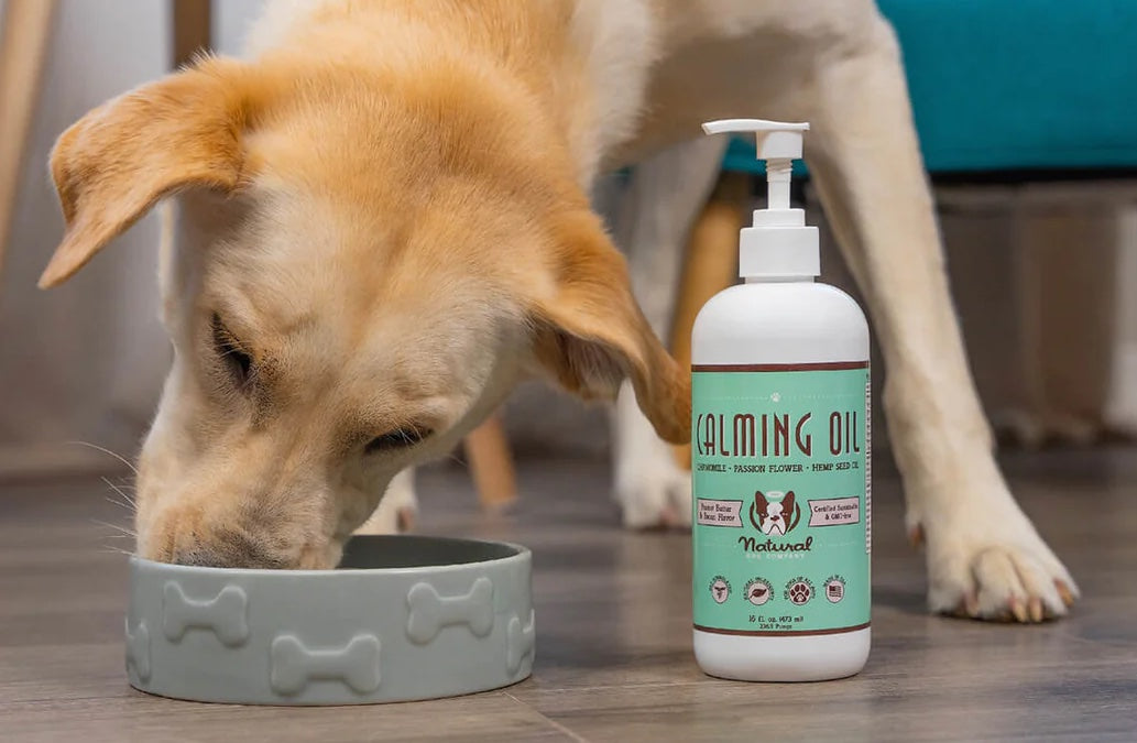 Introducing Calming Oil: Promote Relaxation for Your Pup – Only Dogs ...