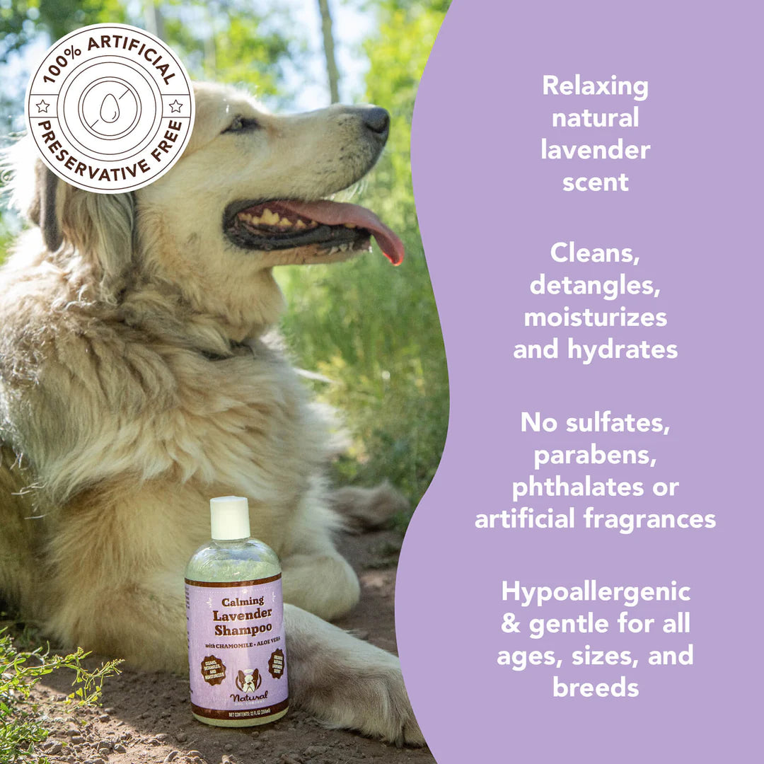 Calming Lavender Shampoo – Only Dogs Allowed